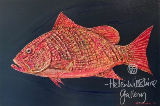 “Mangrove Jack” Original by Ben Wiltshire | Helen Wiltshire Gallery